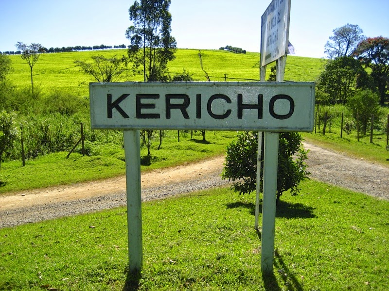 Kenya: the tea fields of Kericho | Minor Sights