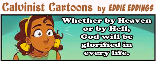 Calvinistic Cartoons: 2017
