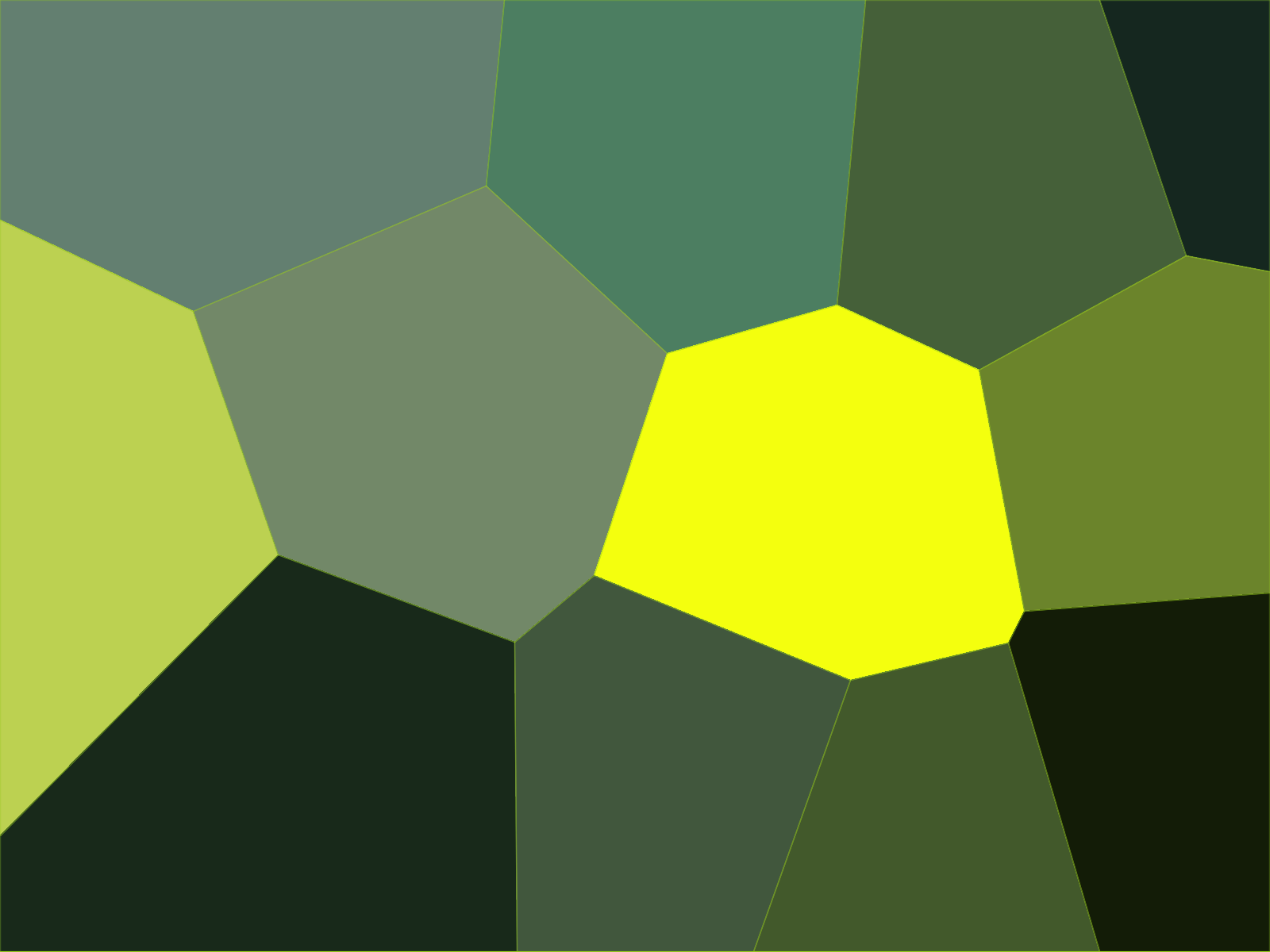 Zomerproject Illustratie: Kleur, Contrast & Vorm