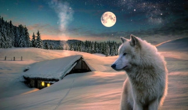 White Wolf : Happy Full Snow Moon 2017: What You Need to Know About ...