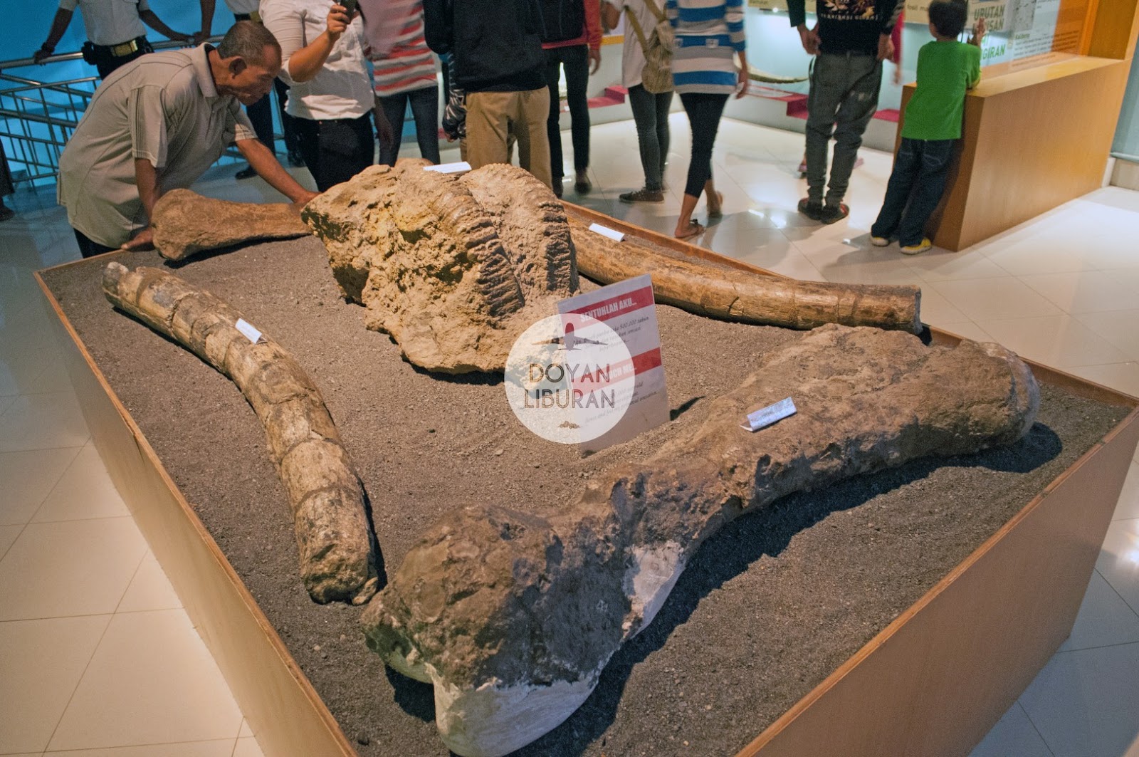 Museum Purbakala Sangiran, Etalase Kehidupan Pra Sejarah Terlengkap di ...