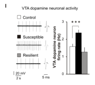 Activating VTA-NAc Dopamine Neuron Enhancing Resilience