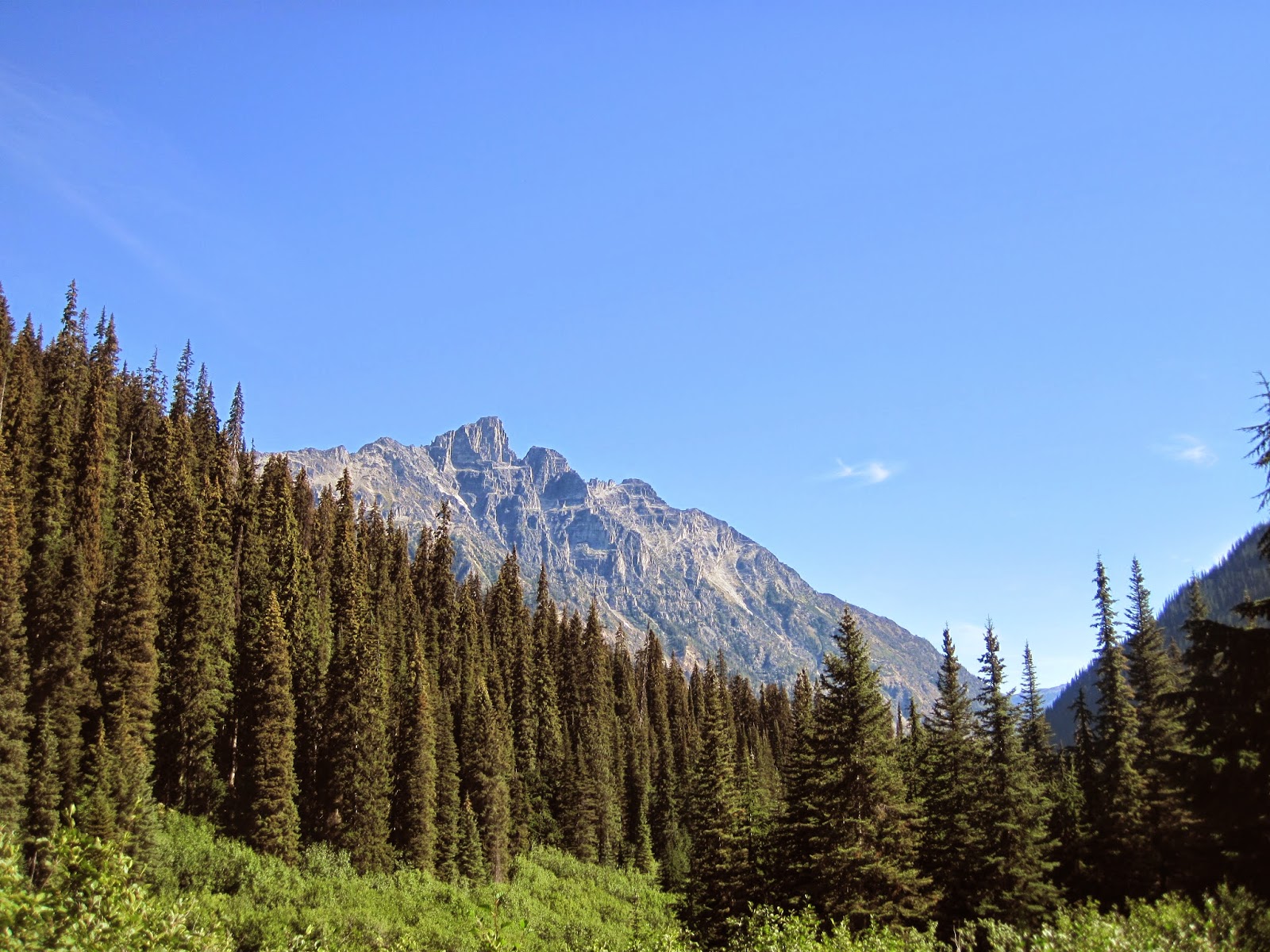 Wanderlust: Balu Pass: Glacier National Park
