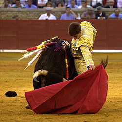 Verbiário Volátil: A Tourada: clarificação para um debate