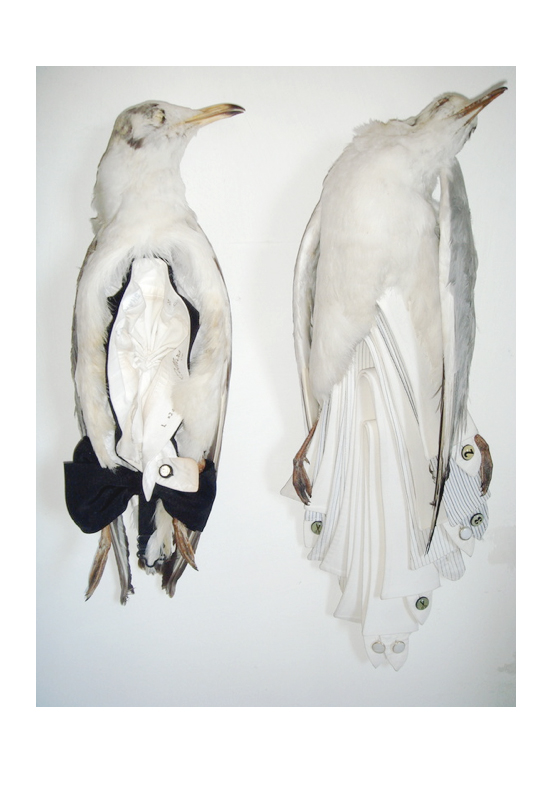 1101010101011010: Jane Howarth