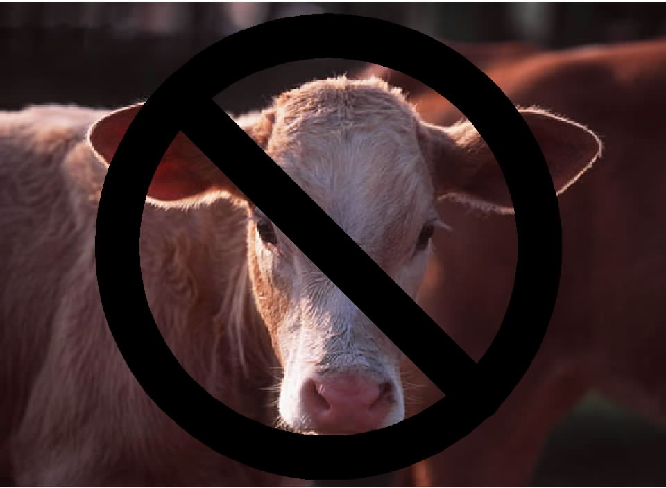 Free Posters and Signs: No Cow