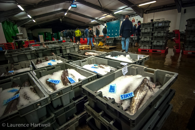 Through the Gaps! - Newlyn Fishing News: Sunny Monday morning in Newlyn ...