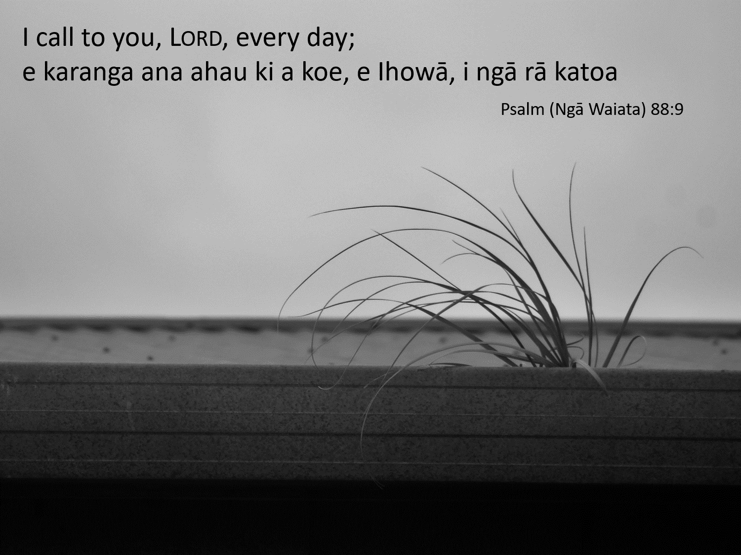 HOW IN THE WORLD!!: Honesty to God in the midst of dispair: reflections ...