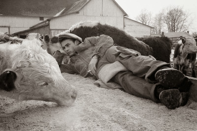 Hollywoodland Forever: Remembering James Dean - A Trip Down Memory Lane ...