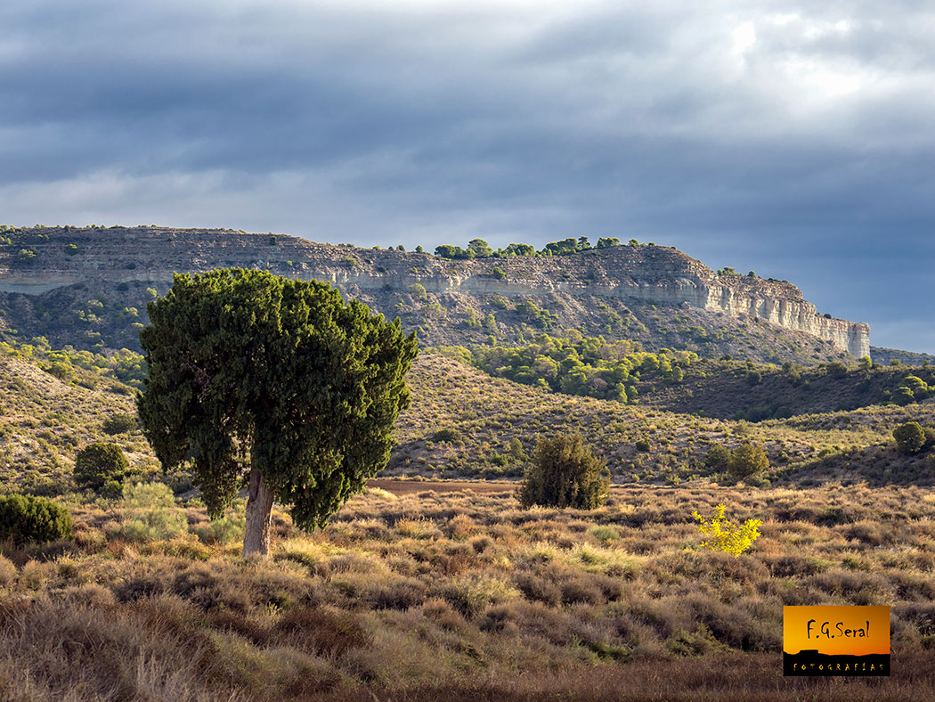 -PAISAJES DE LOS MONEGROS - Fotografias-Fernando Gonzalez Seral: ....al ...