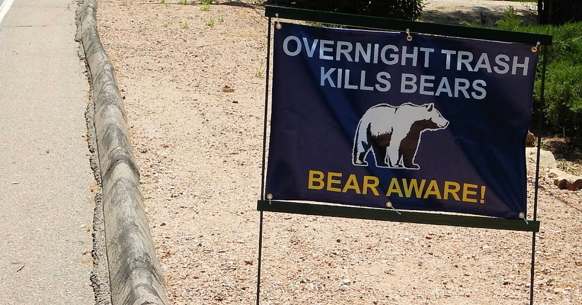 Springs Bear Task Force: "Bear Aware" Sign Available for Your Neighborhood