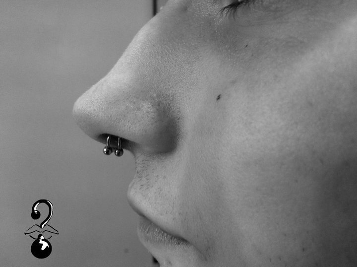 (e.u.r.l.) Absolut Piercing: Book piercing