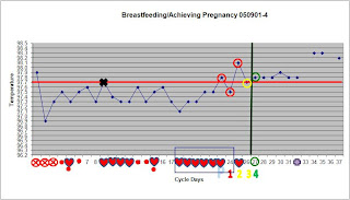 Fertility Matters: Shettles Method Test #2