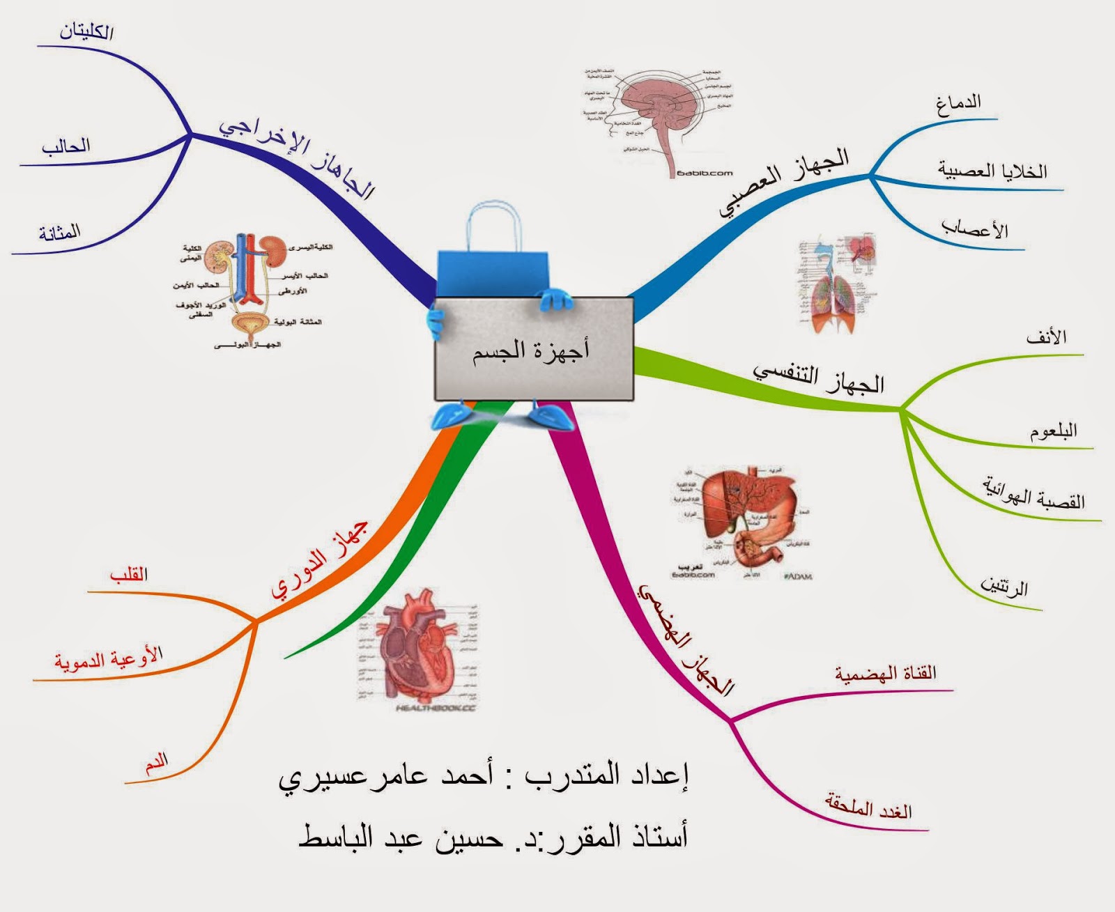مدونة مقرر إنتاج الوسائل التعليمية واستخدامها خريطة ذهنية عن أجهزة الجسم