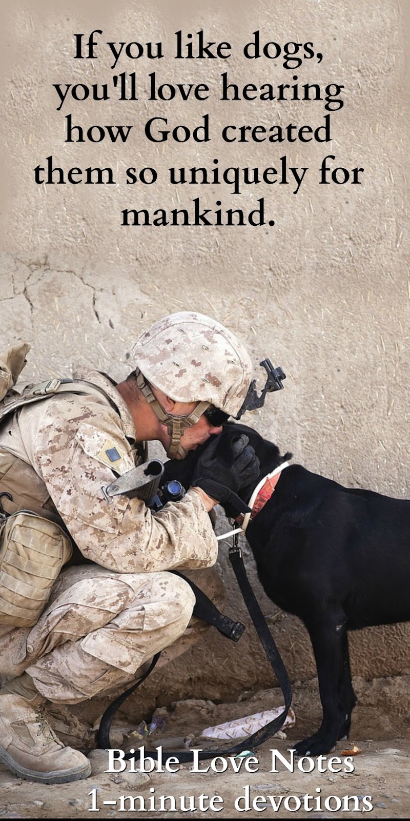 Bible Love Notes: Dogs Tell Us Something About Our God