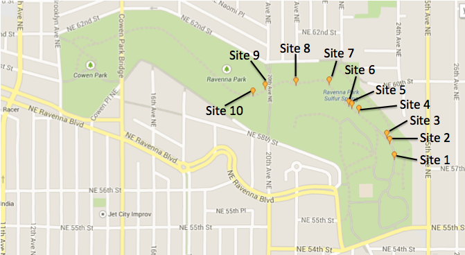 Observe Ravenna Park: Walking Tour of Ravenna Park