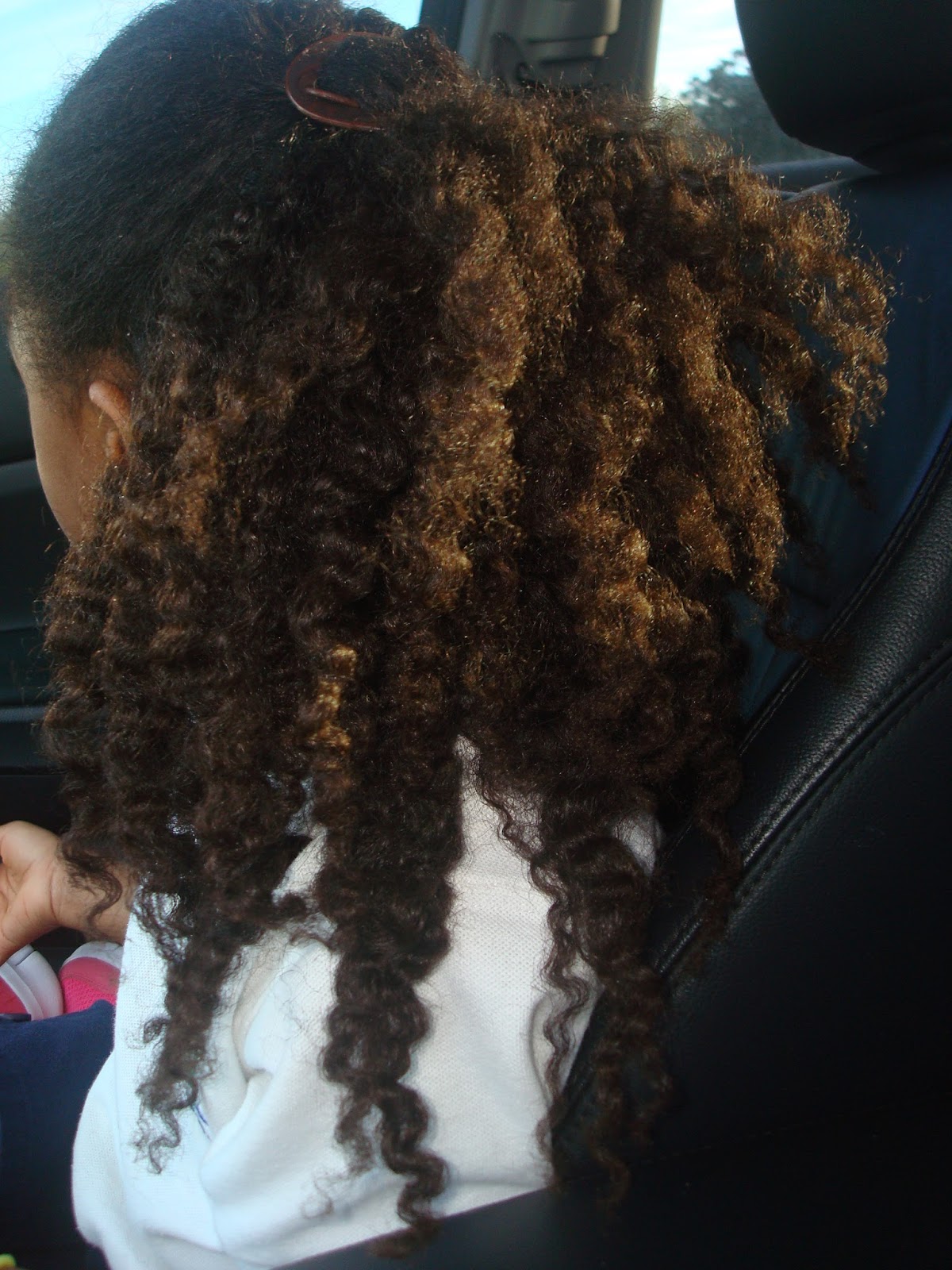 HOW TO CARE FOR COILY HAIR: Pros & Cons of The Blow Out/Braidout: Coily ...