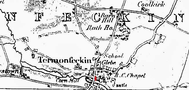 Brabazon Family History: EARLY BRABAZONS IN IRELAND - By Jan Barnes