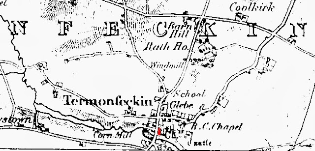 Brabazon Family History: EARLY BRABAZONS IN IRELAND - By Jan Barnes