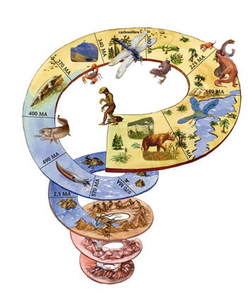 Teacher Charlotte: Voyage à travers le temps: les dossiers thématiques