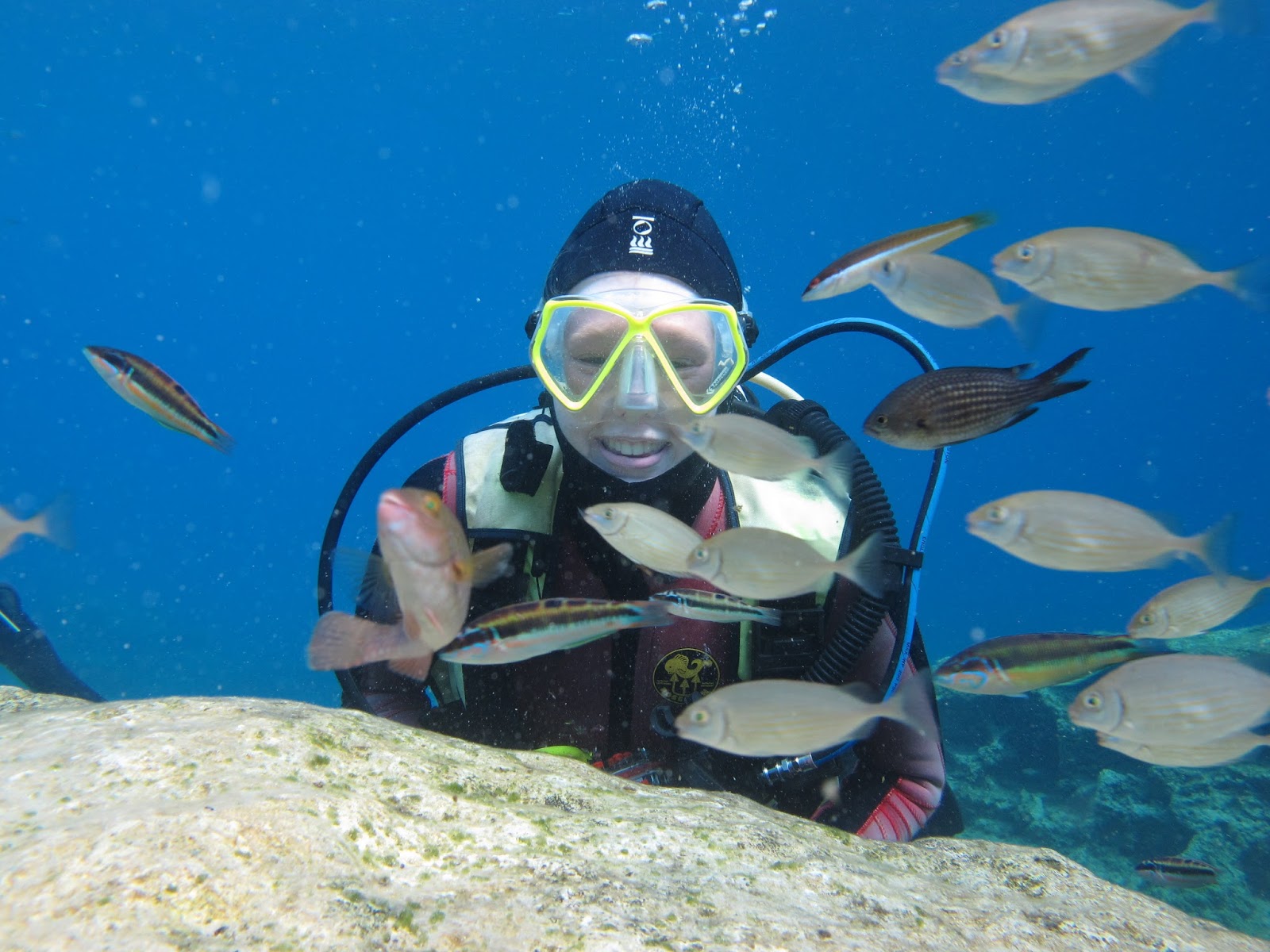 Scuba Tech Diving Centre, Cyprus: 10 things you should do in Protaras ...