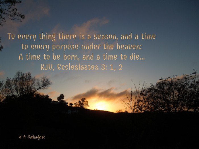 Review of Facing Death and the Life After by Billy Graham