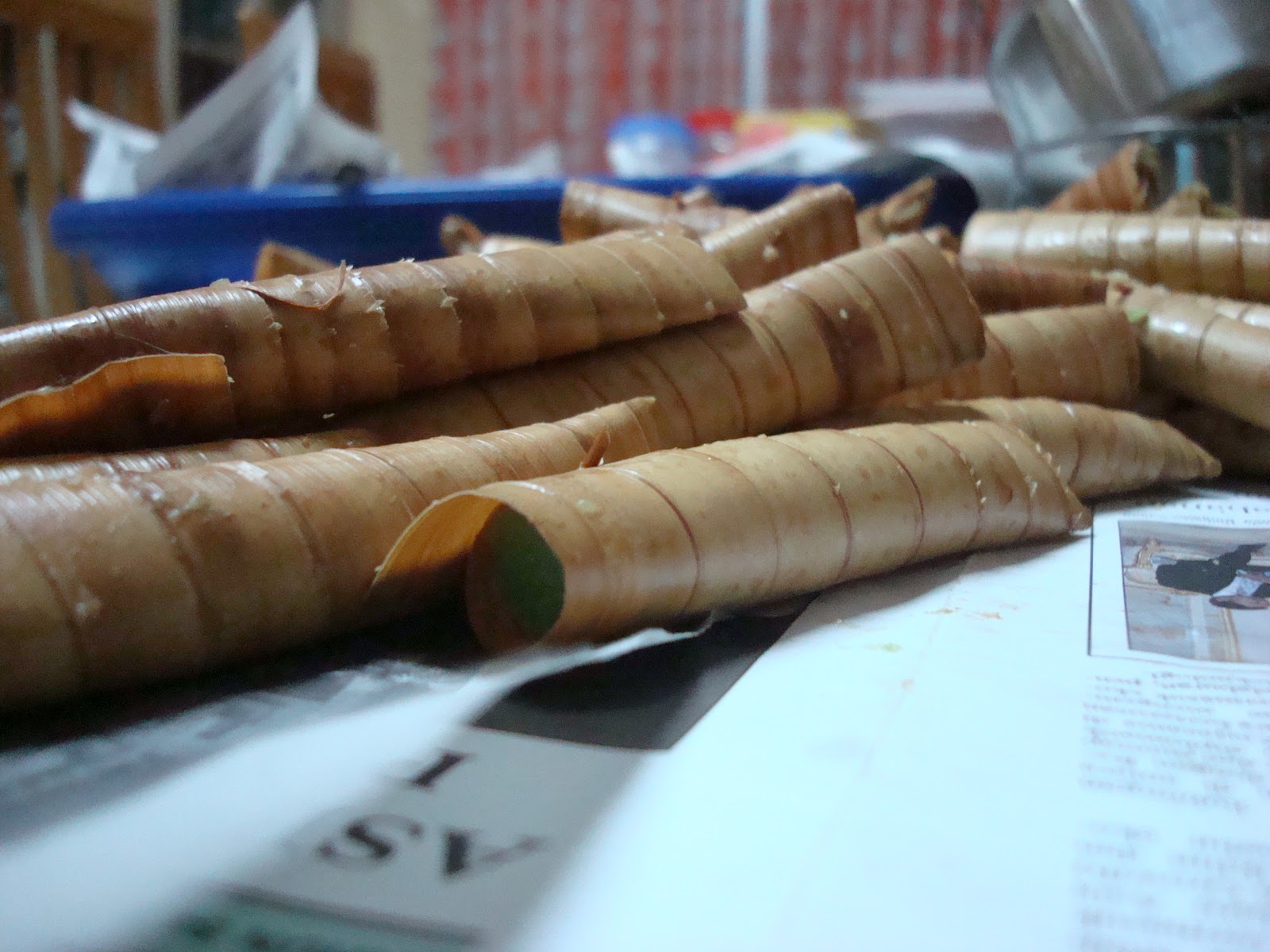 Anak Melayu Brunei: Kuih Jelurut (Selurut or Celurut)