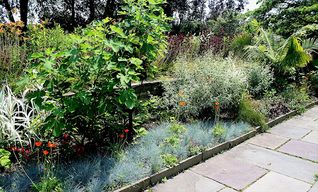 View from Federal Twist: The Neo-Victorian Garden?