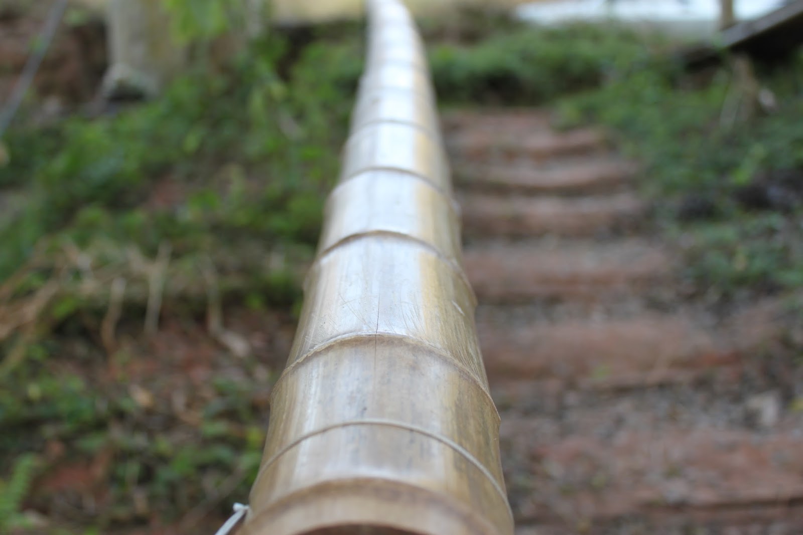 IPC TAIPAL - INSTITUTO DE PESQUISAS E CRIAÇÃO TAIPAL