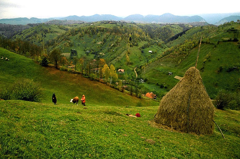 Amazing Romania: CARPATHIAN MOUNTAINS