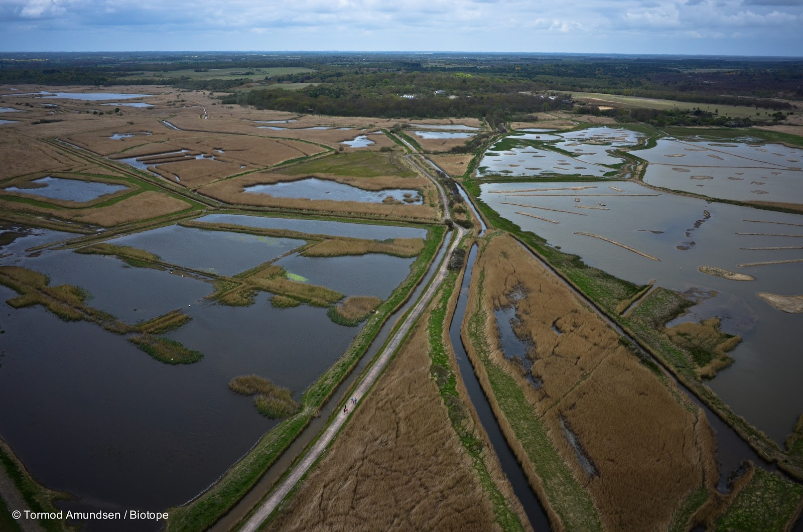 biotope: Intelligent design - the RSPB Minsmere nature reserve