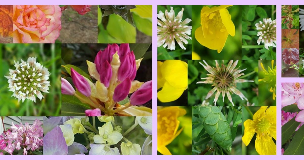 Small But Significant