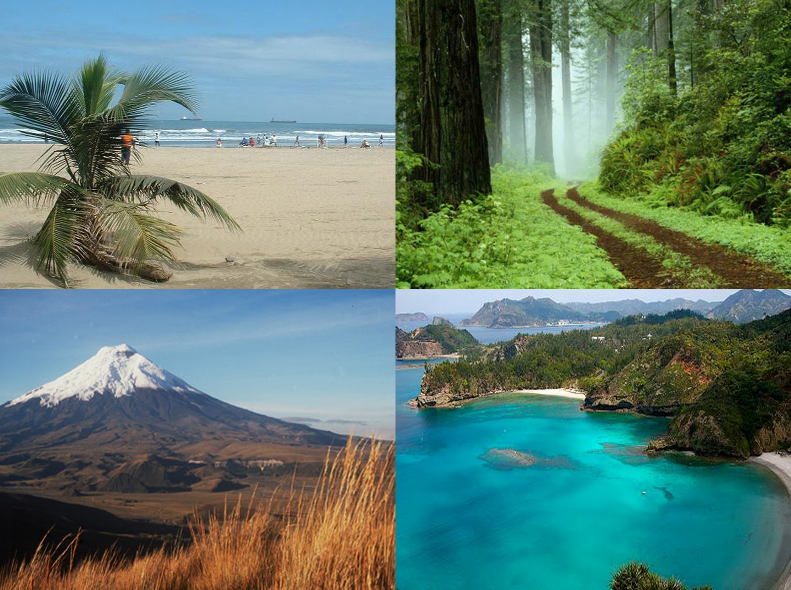 My country Ecuador : Ecuador