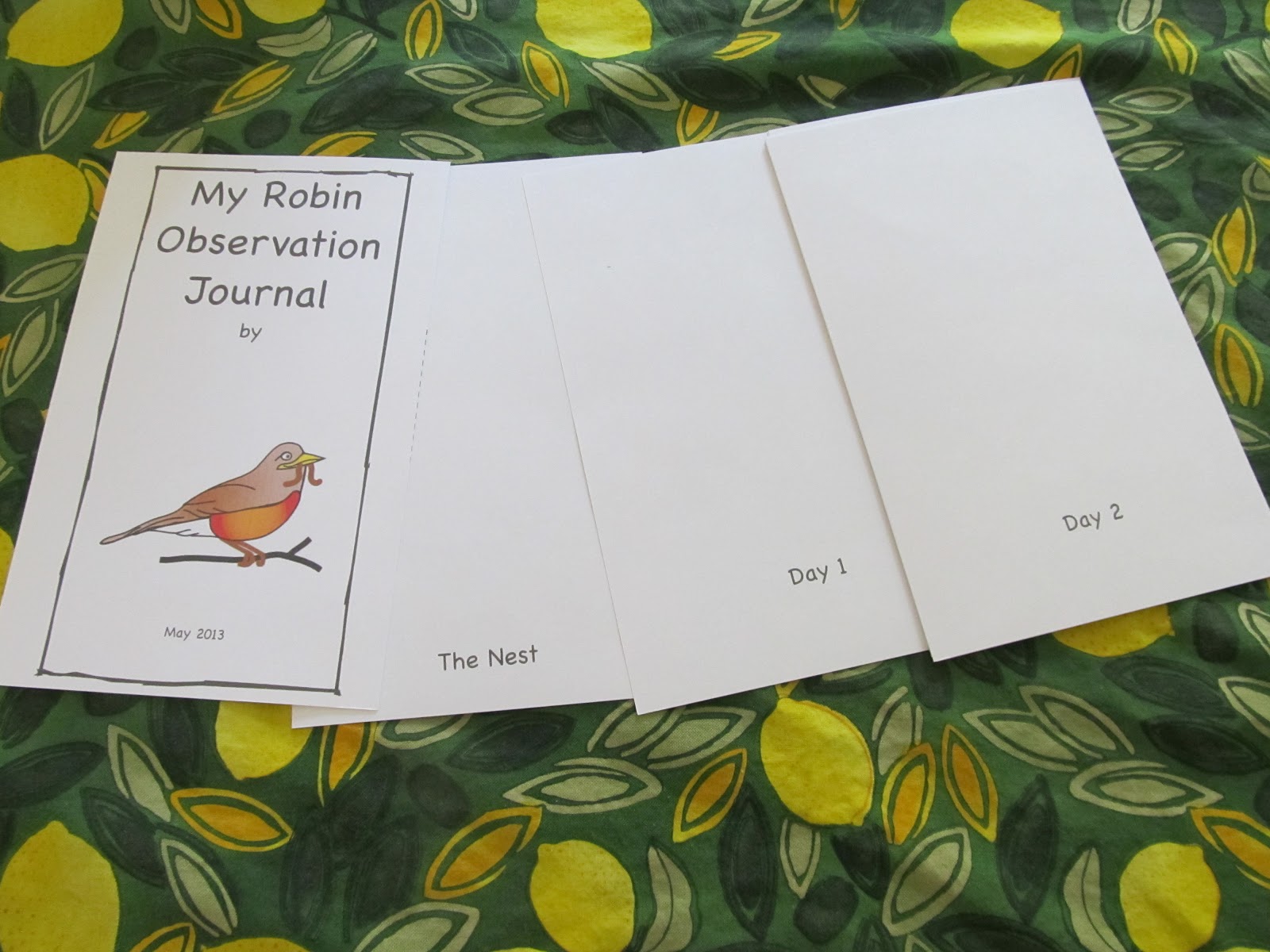 Kitchen Floor Crafts: Creating and Using an Observation Journal