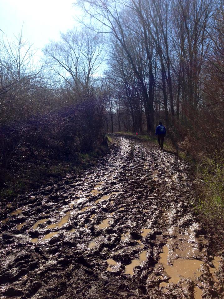 A Post for Reports: Indiana Trail 100