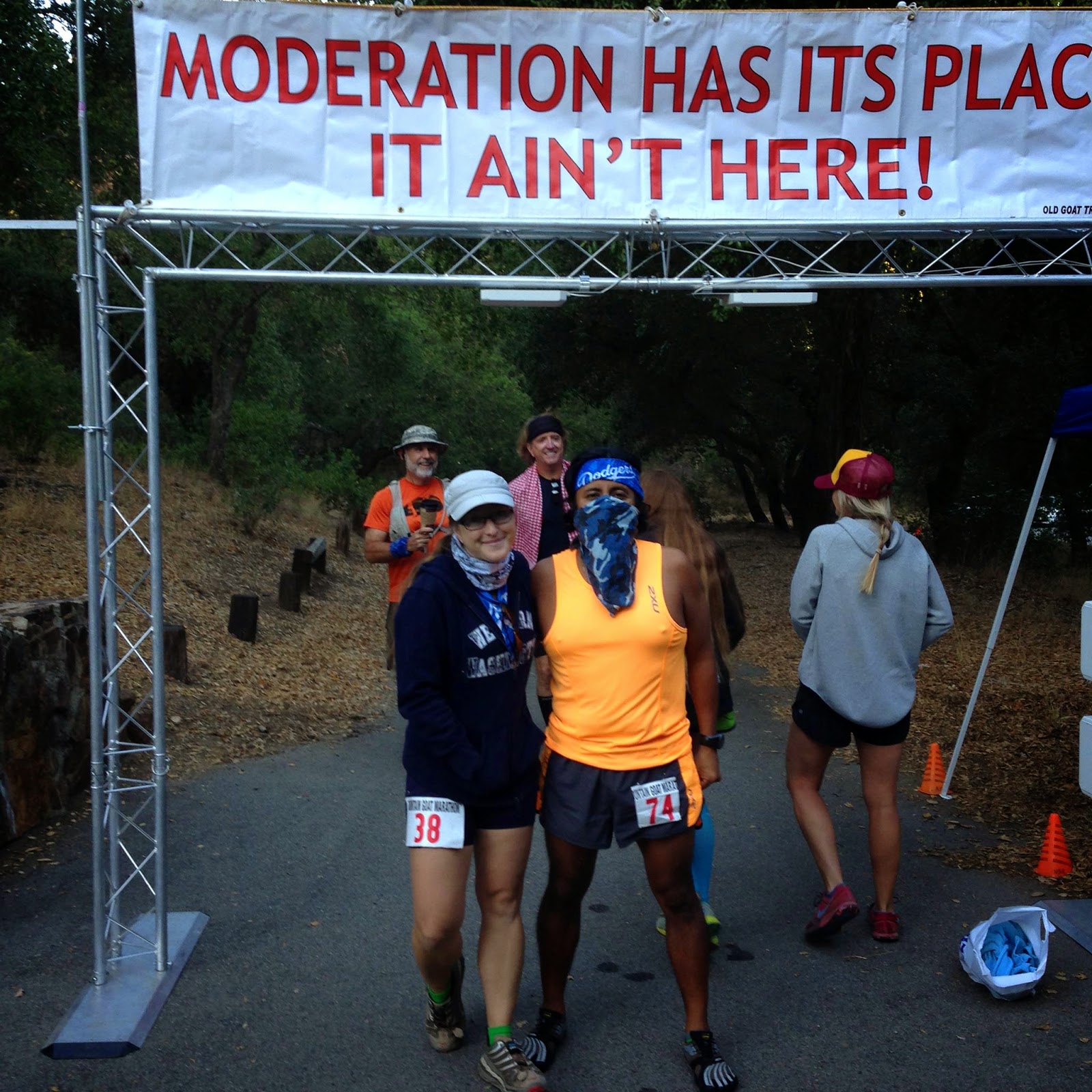 Dianasauries: The Running Misadventures of a Dianasaur: Saddleback ...