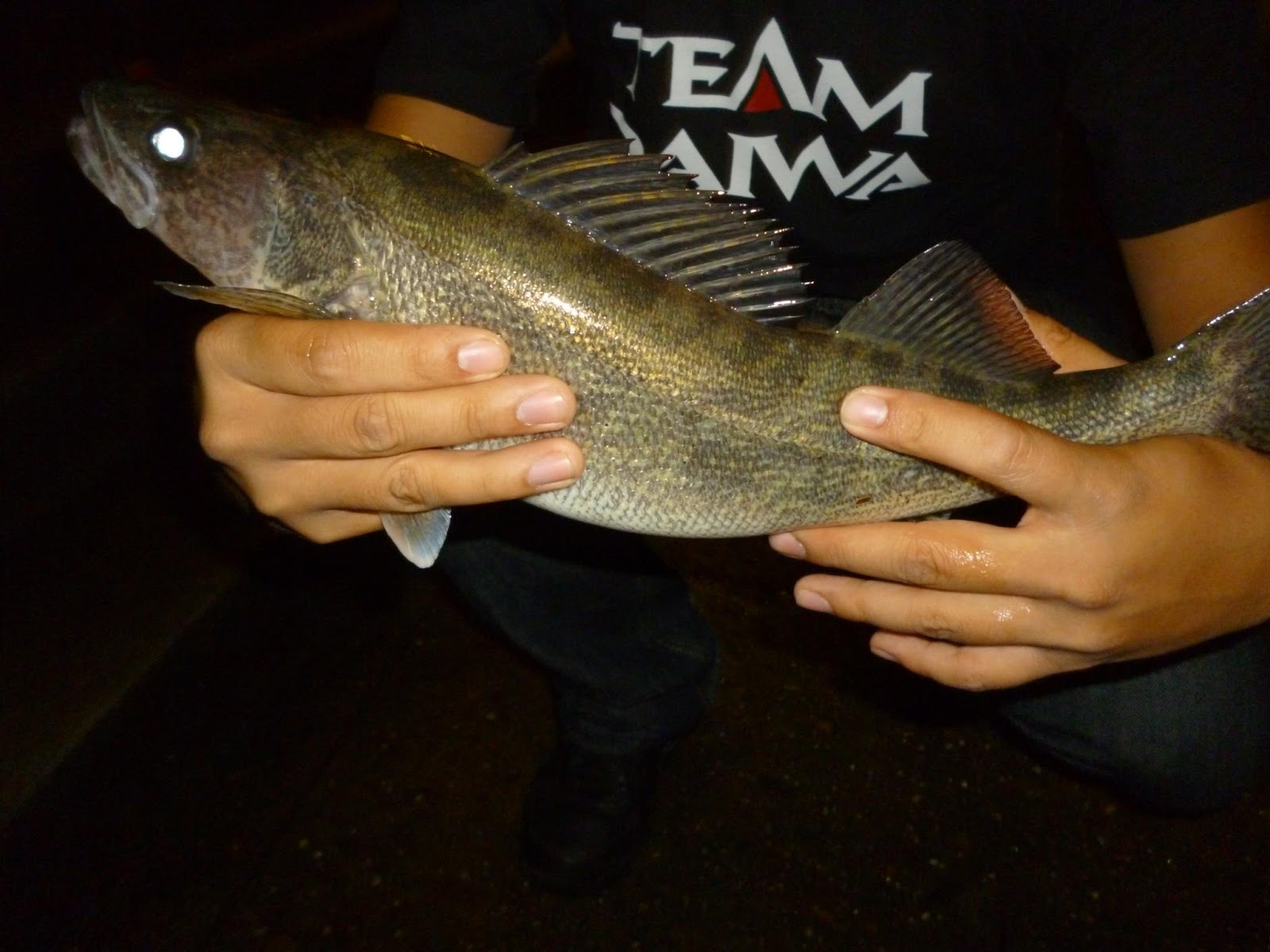 Extreme Philly Fishing: Multi-Species: 2 Years of Fishing in ...