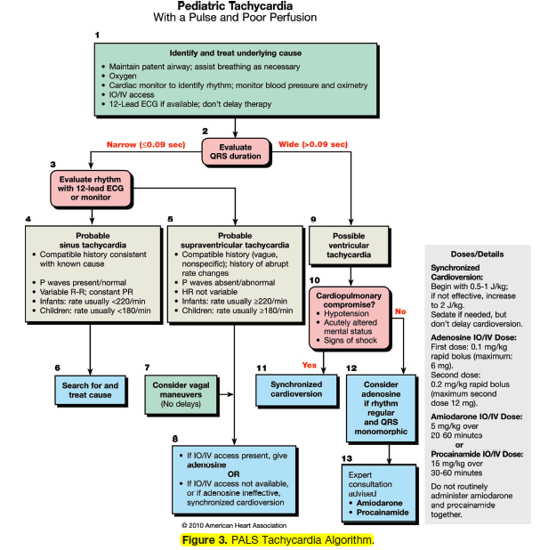 PG Medic: PALS-Tachycardia