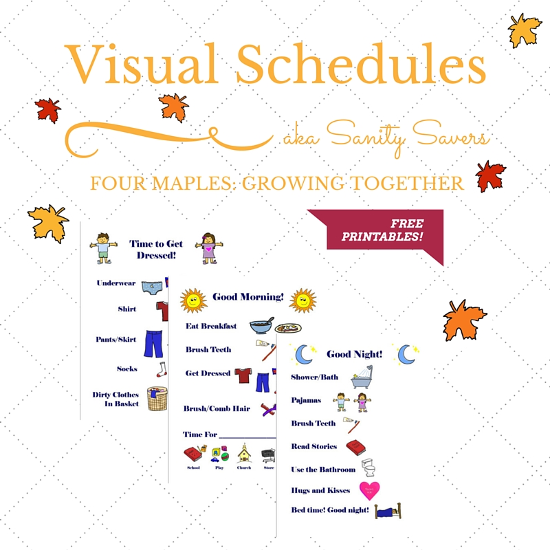 Four Maples: Growing Together: Visual Schedules, a.k.a. Sanity Savers