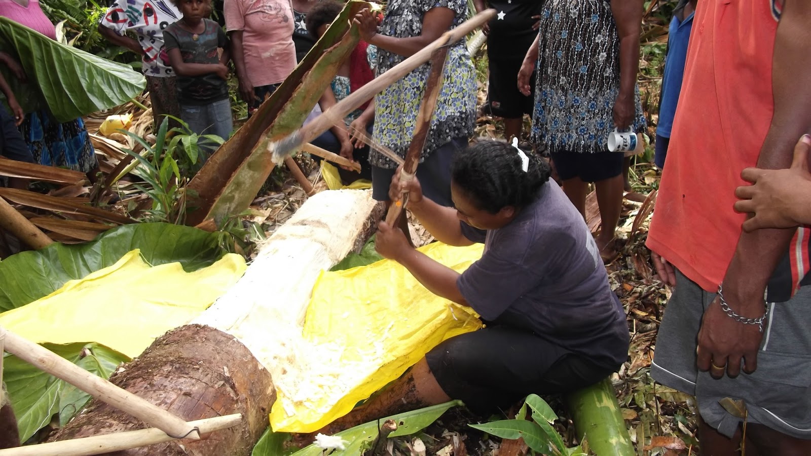 The Sunday Bulletin Features