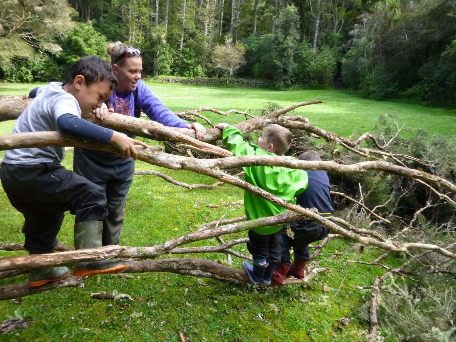 Mairtown Kindergarten: What a surprise discovery on the nature programme