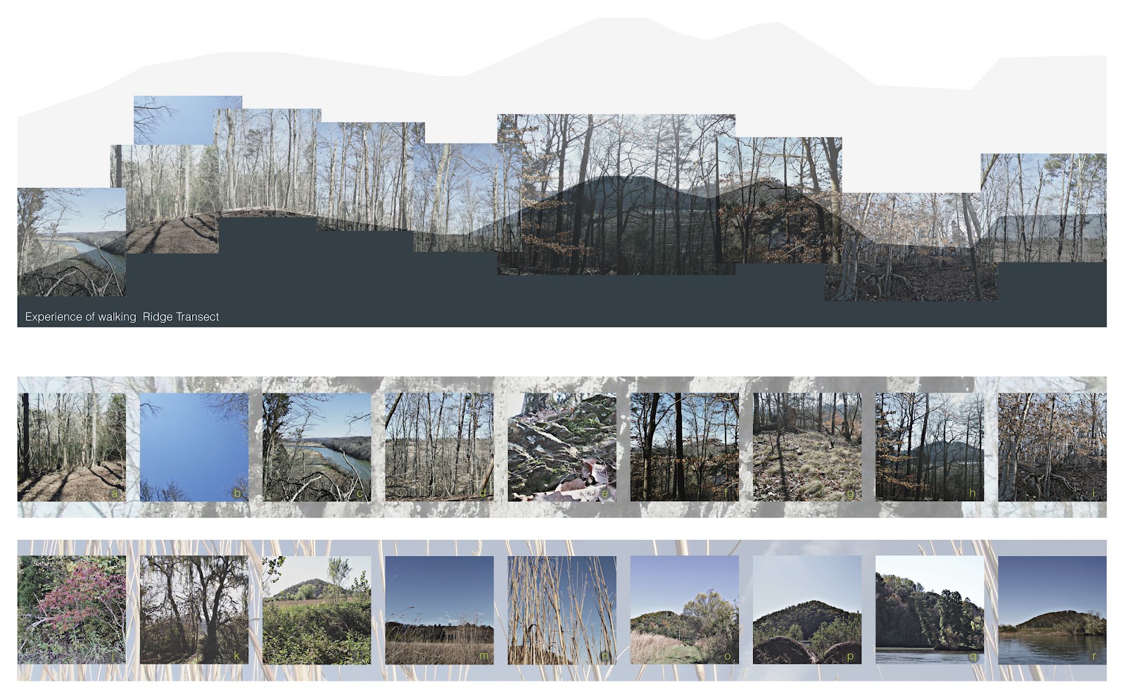 Process and Progress: The Story of a River and a Ridge