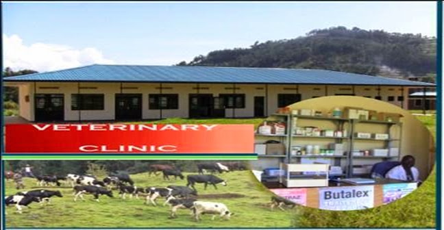 ~ CAVM FACULTIES AND SCHOOLS