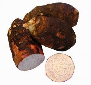 Dominicano, No olvides tus Raíces! | Abriendo la Mochila