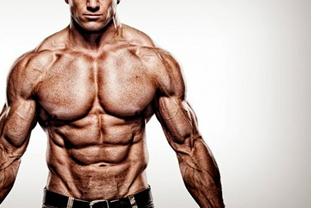 Important Insights into Muscle Growth: Muscle Breakdown & Protein ...