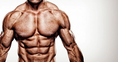 Important Insights into Muscle Growth: Muscle Breakdown & Protein ...