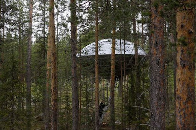 UFO treehouse In Sweden