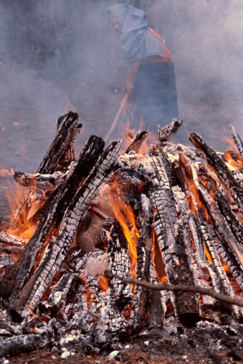 CHIAPAS NOSTRUM: agosto 2012