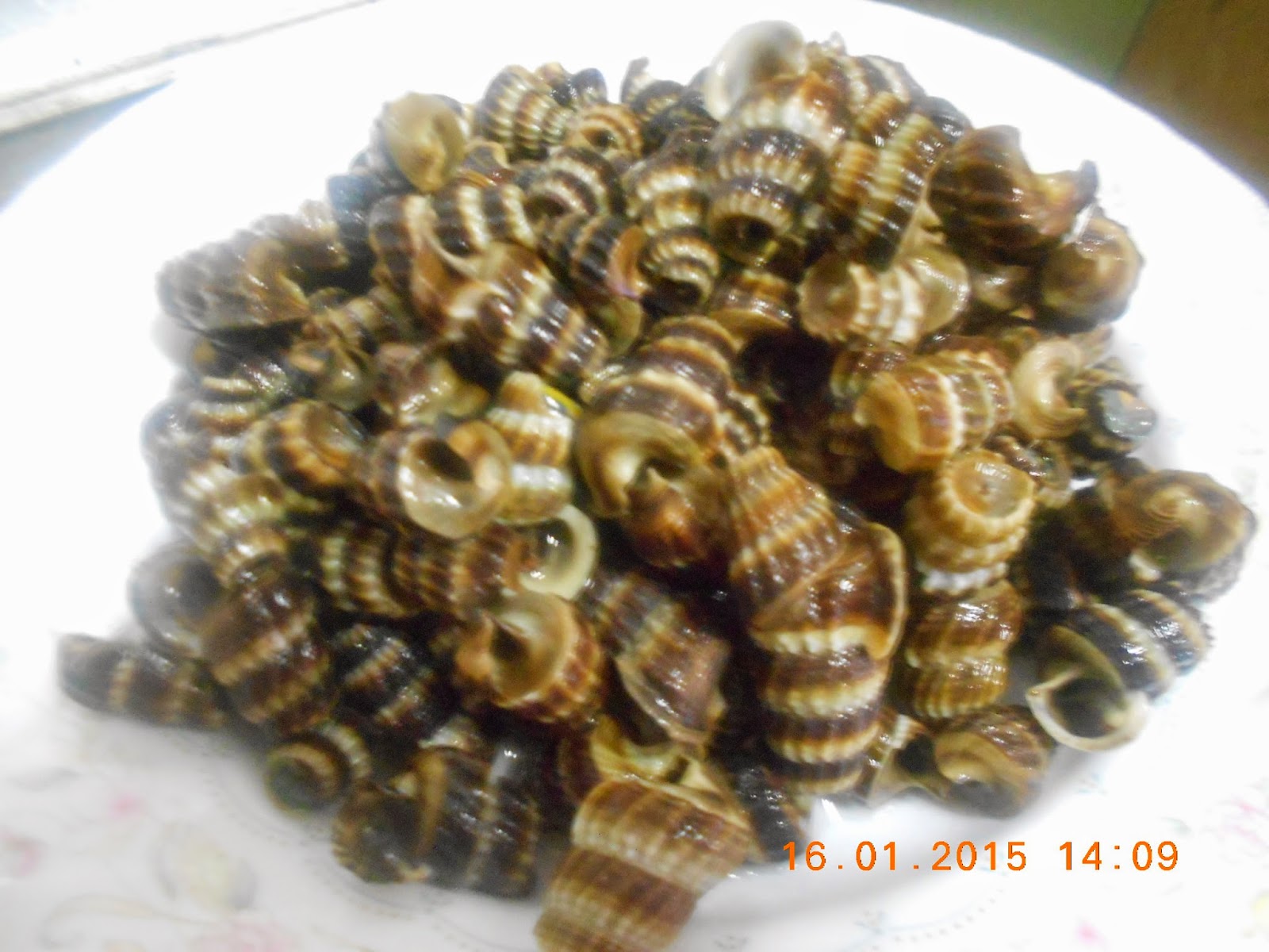 namakucella: SIPUT SEDUT MASAK LEMAK CILI API....!!!!