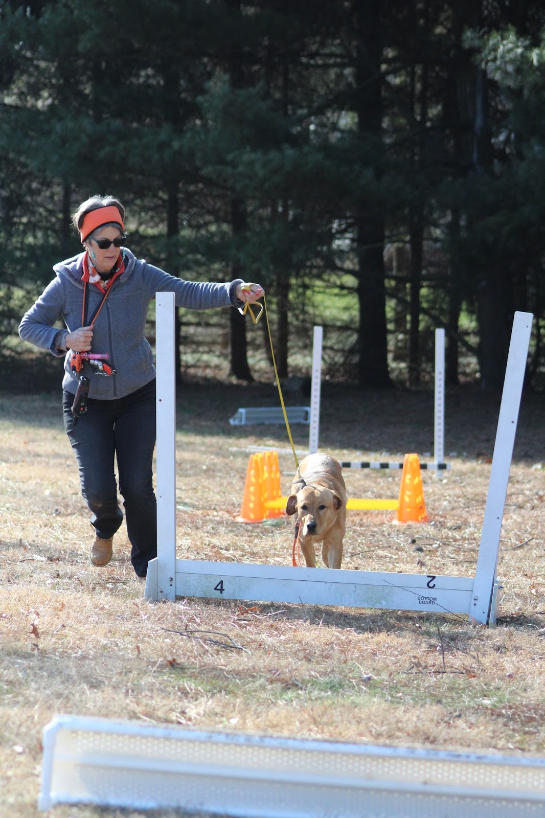 RTP Fall Into Retrieve 2022: Lesson 6: The 'Jump' command